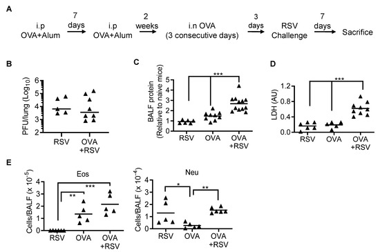 Viruses | January 2022 - Browse Articles