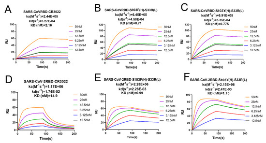 Viruses | Free Full-Text | Structure Based Affinity Maturation and ...