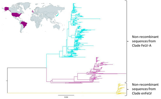 Viruses | Free Full-Text | Could Phylogenetic Analysis Be Used for ...