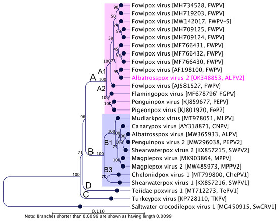 Evidence of a Possible Viral Host Switch Event in an Avipoxvirus ...