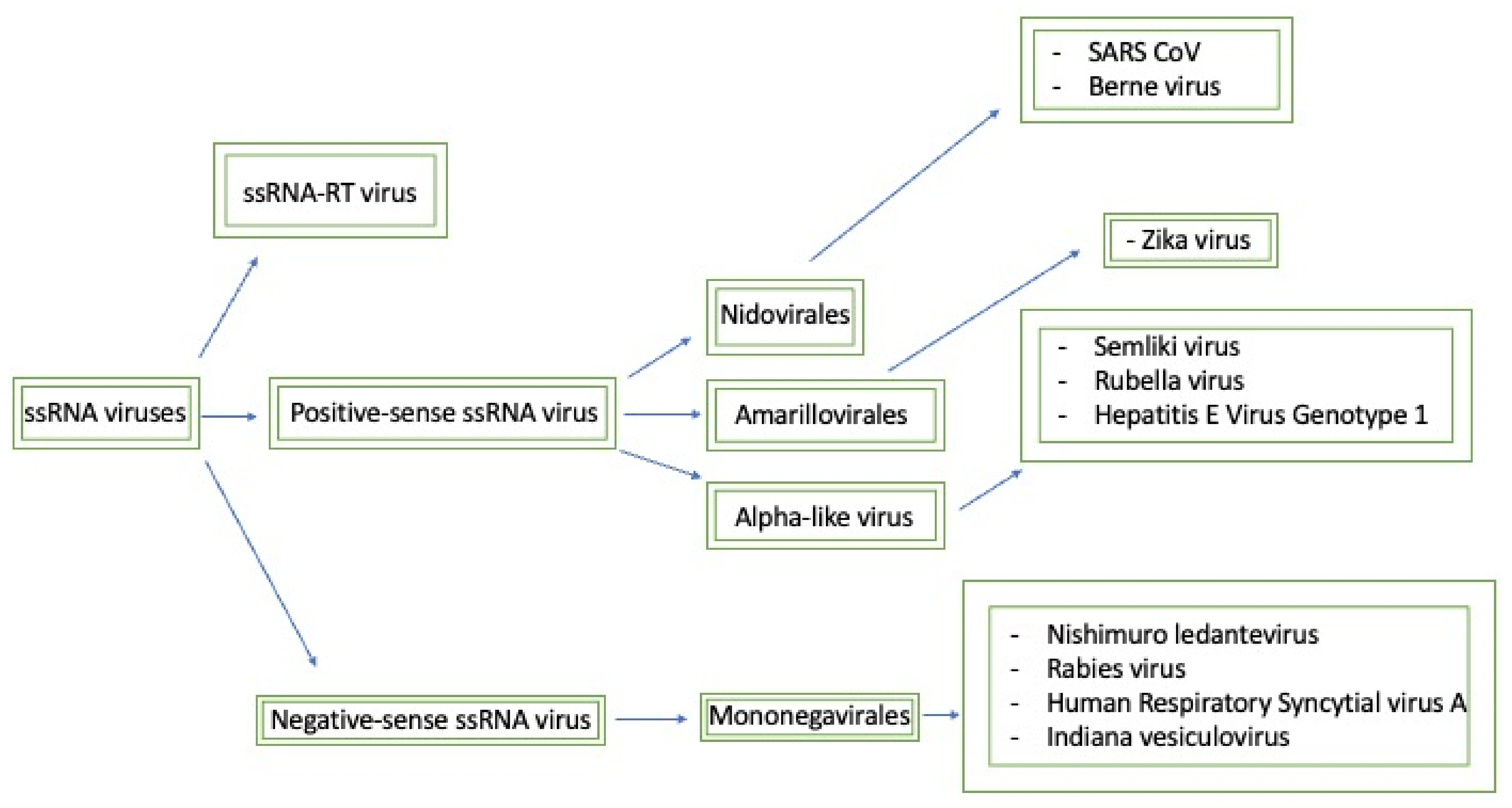 Targeting Viral Methyltransferases: An Approach to Antiviral Treatment ...