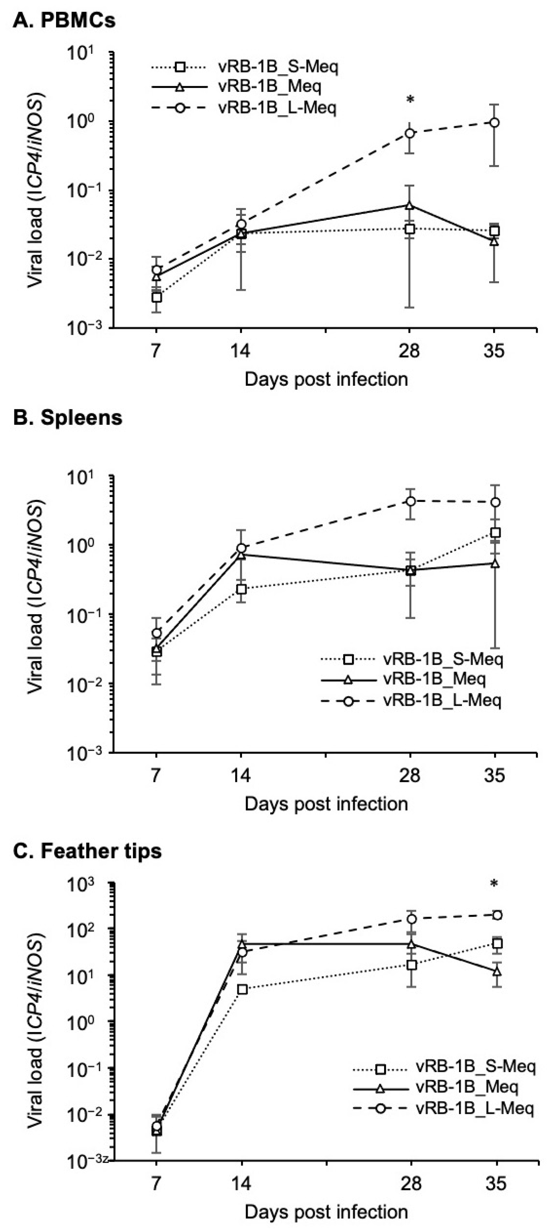 Effect of Insertion and Deletion in the Meq Protein Encoded by Highly ...
