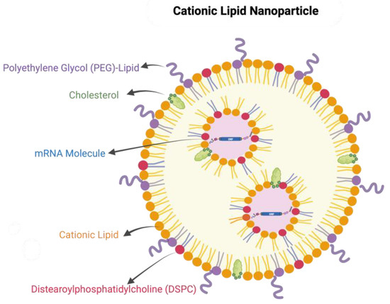 mRNA Vaccine Development for Emerging Animal and Zoonotic Diseases