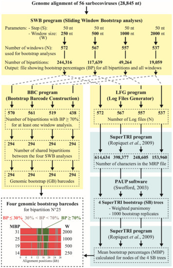 Viruses | Free Full-Text | Genomic Bootstrap Barcodes and Their ...