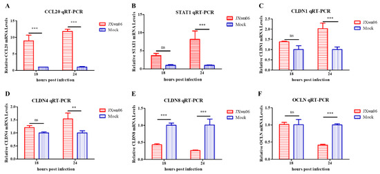 Highly Pathogenic PRRSV-Infected Alveolar Macrophages Impair the ...