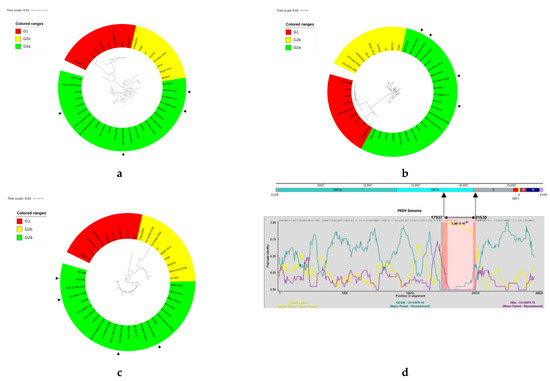Genetic Characteristics and Pathogenicity of a Novel Porcine Epidemic ...