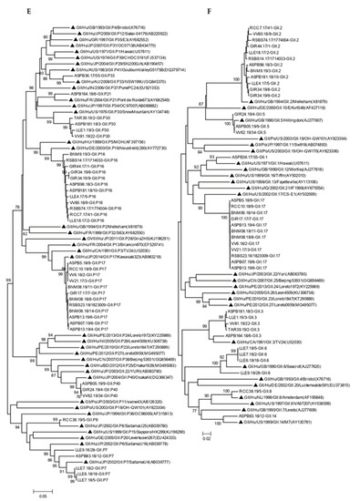 Epidemiological and Genetic Characterization of Norovirus Outbreaks ...