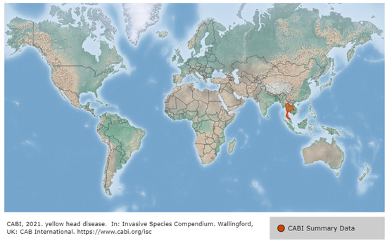Viral Shrimp Diseases Listed by the OIE: A Review