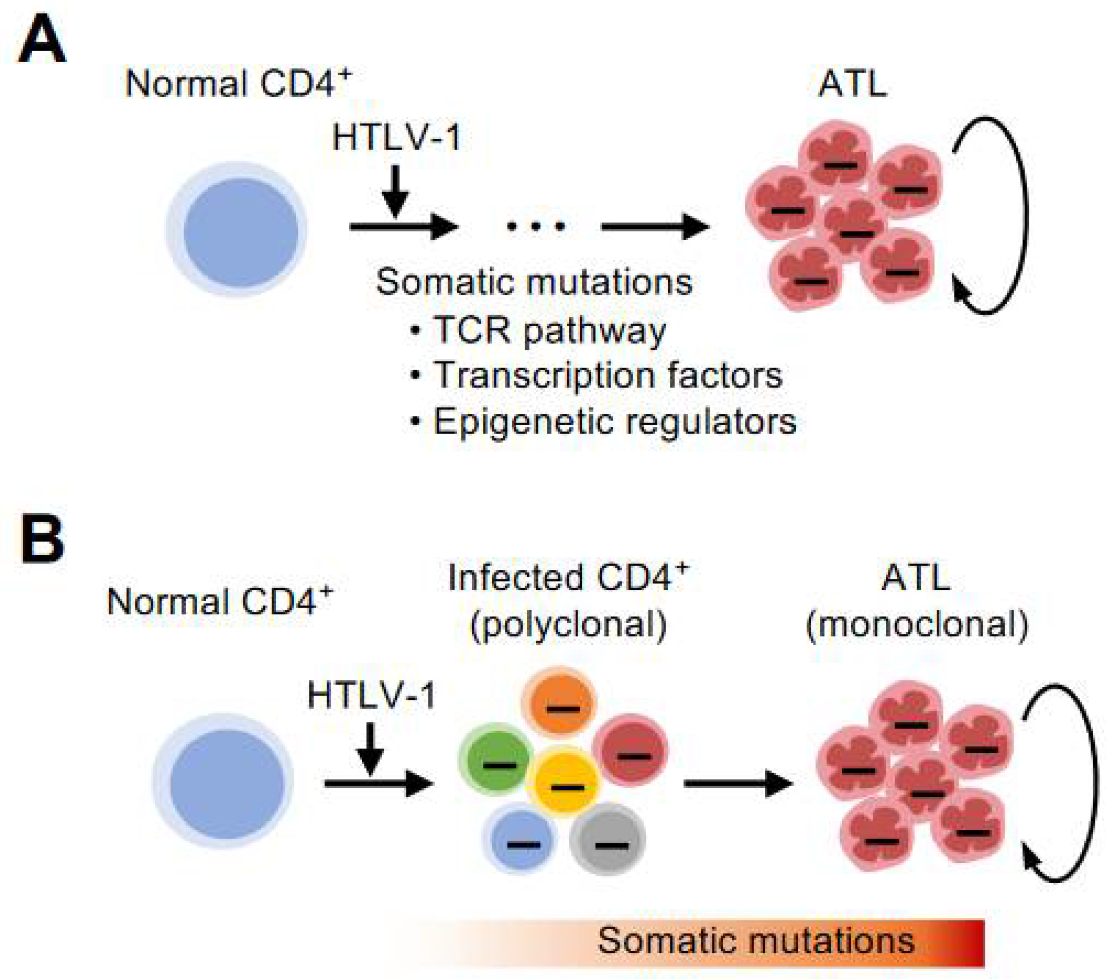Clonal Selection and Evolution of HTLV-1-Infected Cells Driven by ...