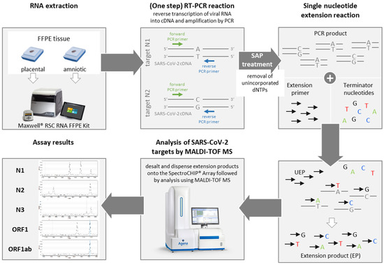 Detection of Severe Acute Respiratory Syndrome Coronavirus 2 (SARS-CoV ...