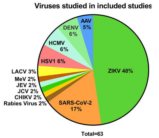 Human Brain Organoids as Models for Central Nervous System Viral Infection