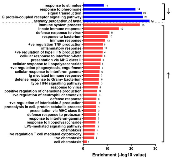 Gene Expression Profile Induced by Two Different Variants of Street ...