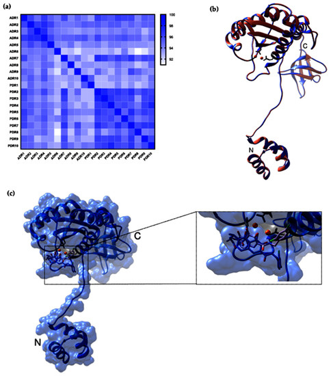 Viruses | An Open Access Journal from MDPI