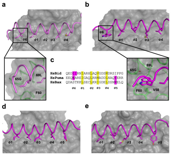 Viruses | An Open Access Journal from MDPI