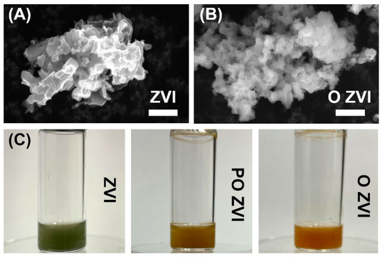 The Effect of Zero-Valent Iron Nanoparticles (nZVI) on Bacteriophages