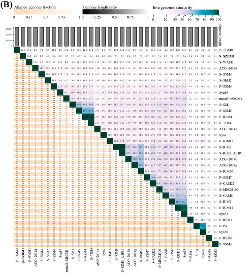 Isolation and Characterization of a Novel Cyanophage Encoding Multiple Auxiliary Metabolic Genes