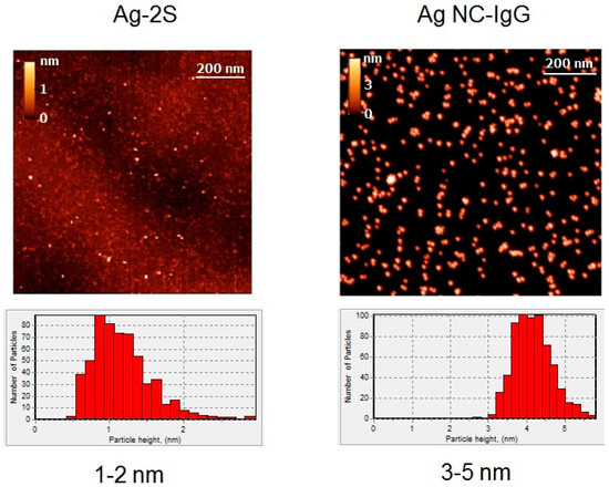 Targeting of Silver Cations, Silver-Cystine Complexes, Ag Nanoclusters ...