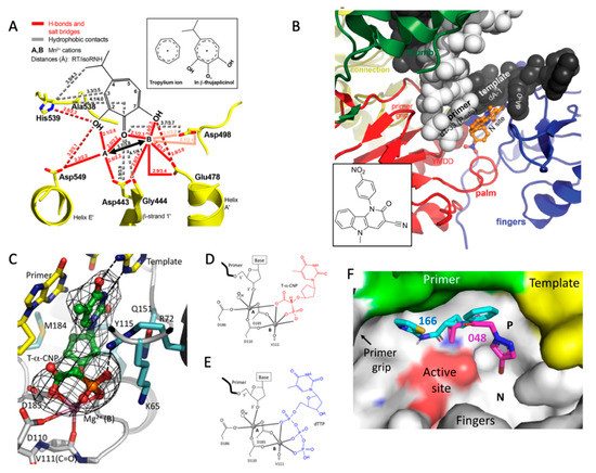 Insights into HIV-1 Reverse Transcriptase (RT) Inhibition and Drug ...