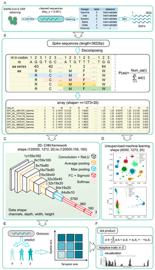 Viruses | Free Full-Text | Convolutional Neural Networks Based on Sequential Spike Predict the ...