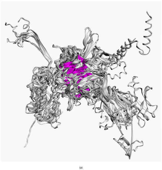 Evolution of Phage Tail Sheath Protein