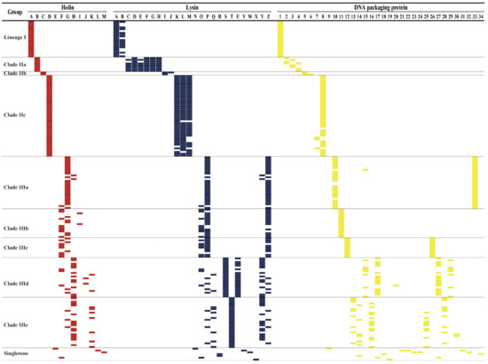 Whole-Genome Analysis Reveals That Bacteriophages Promote Environmental ...