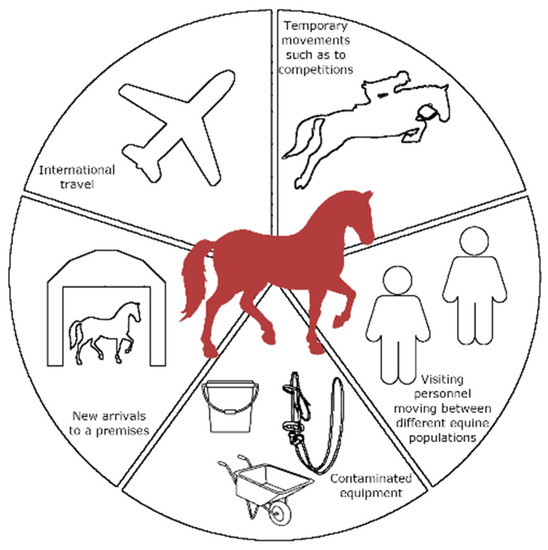 A Review on Equine Influenza from a Human Influenza Perspective