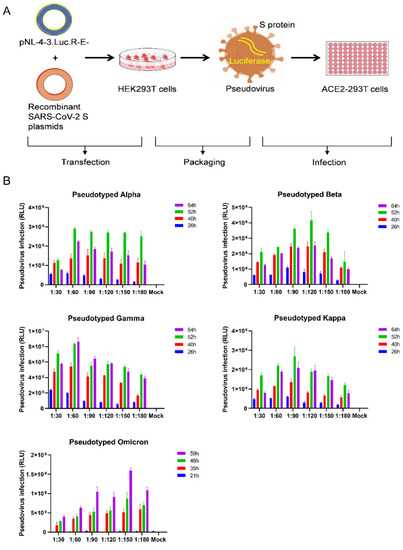 Developing Pseudovirus-Based Neutralization Assay against Omicron ...