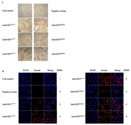Antigenicity Alternations of Variant PEDV S Protein Disclosed by Linear ...