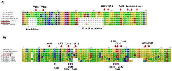Genomic Comparisons of Alphacoronaviruses and Betacoronaviruses from ...