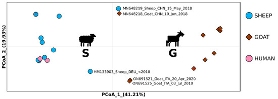 A Deeper Insight into Evolutionary Patterns and Phylogenetic History of ...