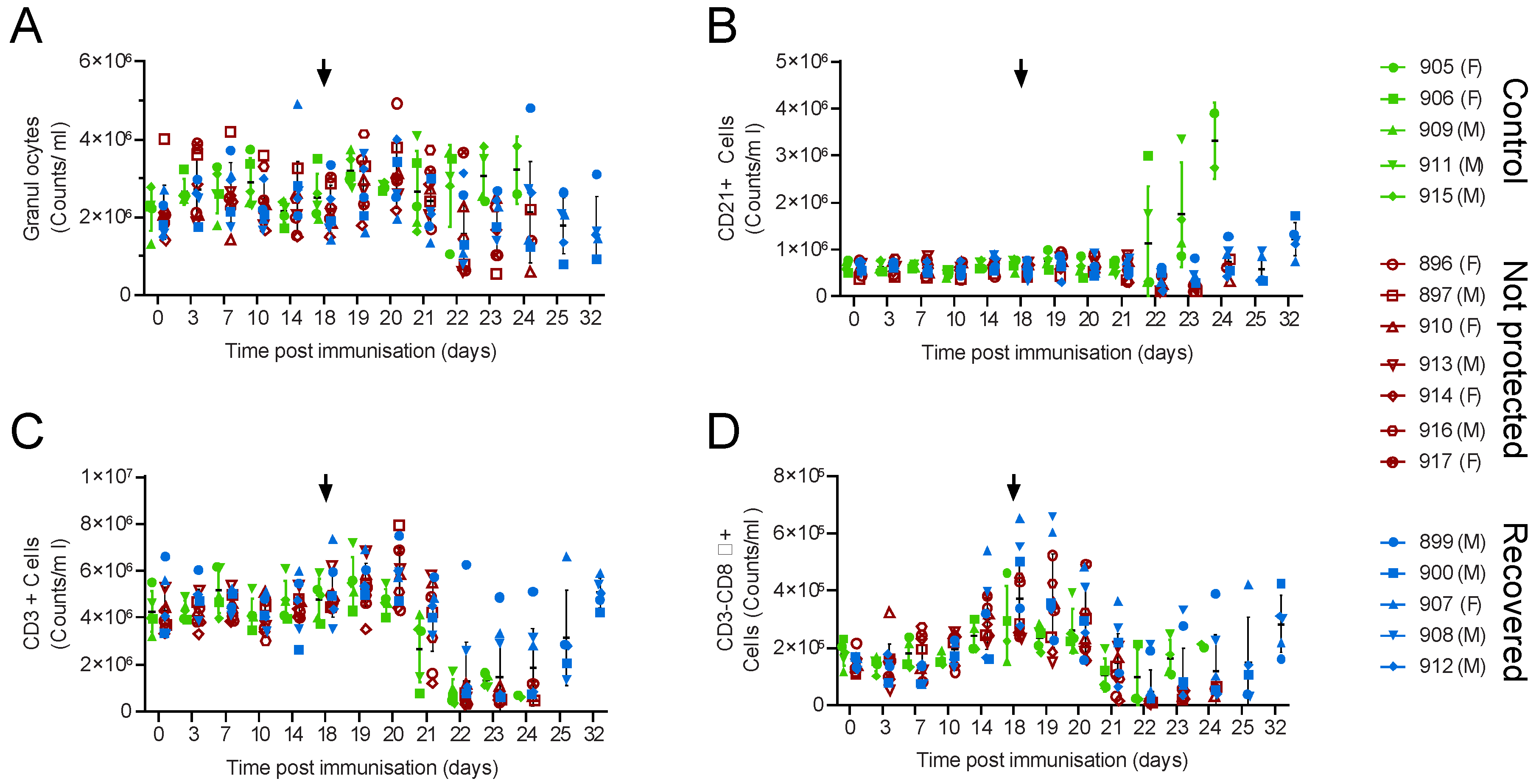 Viruses | Free Full-Text | Cellular and Humoral Immune Responses after ...