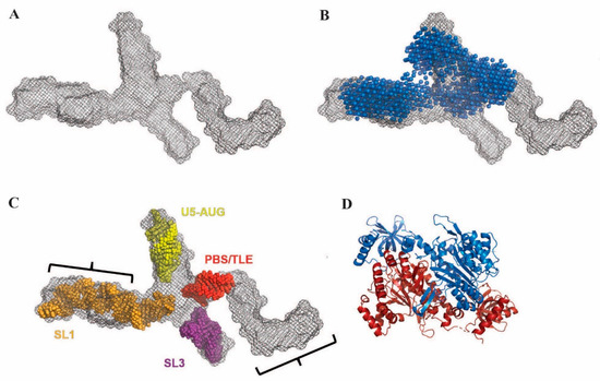 Viruses | An Open Access Journal from MDPI
