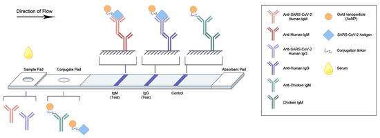 Overview of Neutralization Assays and International Standard for ...
