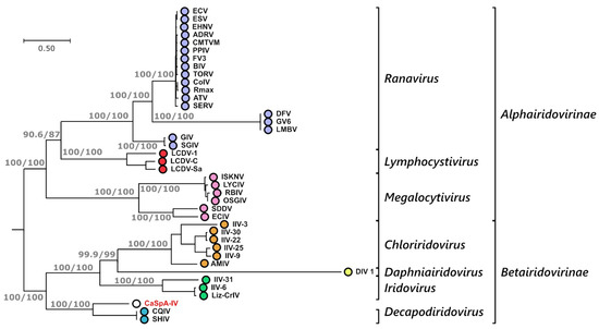 Viruses | An Open Access Journal from MDPI