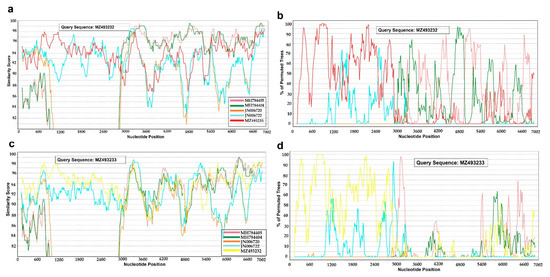 Viruses | An Open Access Journal from MDPI
