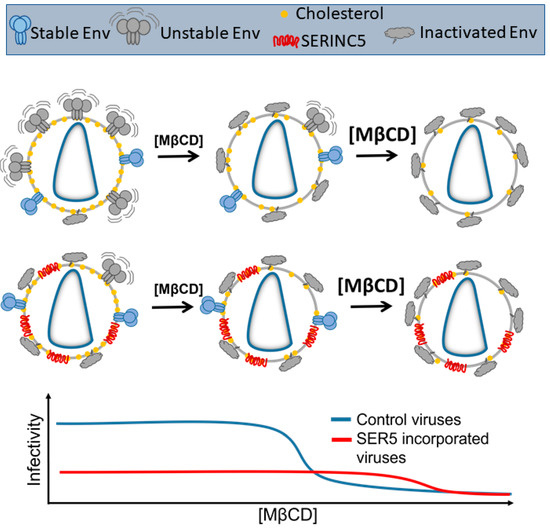 Viruses | An Open Access Journal from MDPI