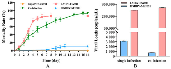 Viruses | Free Full-Text | Simultaneous Isolation and Identification of Largemouth Bass Virus ...