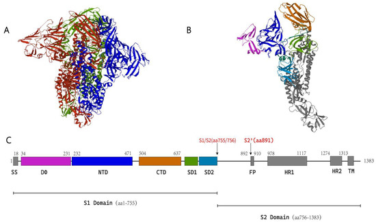 Viruses | Free Full-Text | PEDV: Insights and Advances into Types ...