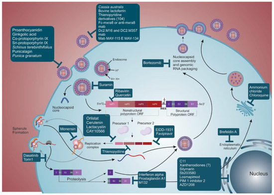 Mayaro Virus: The State-of-the-Art for Antiviral Drug Development