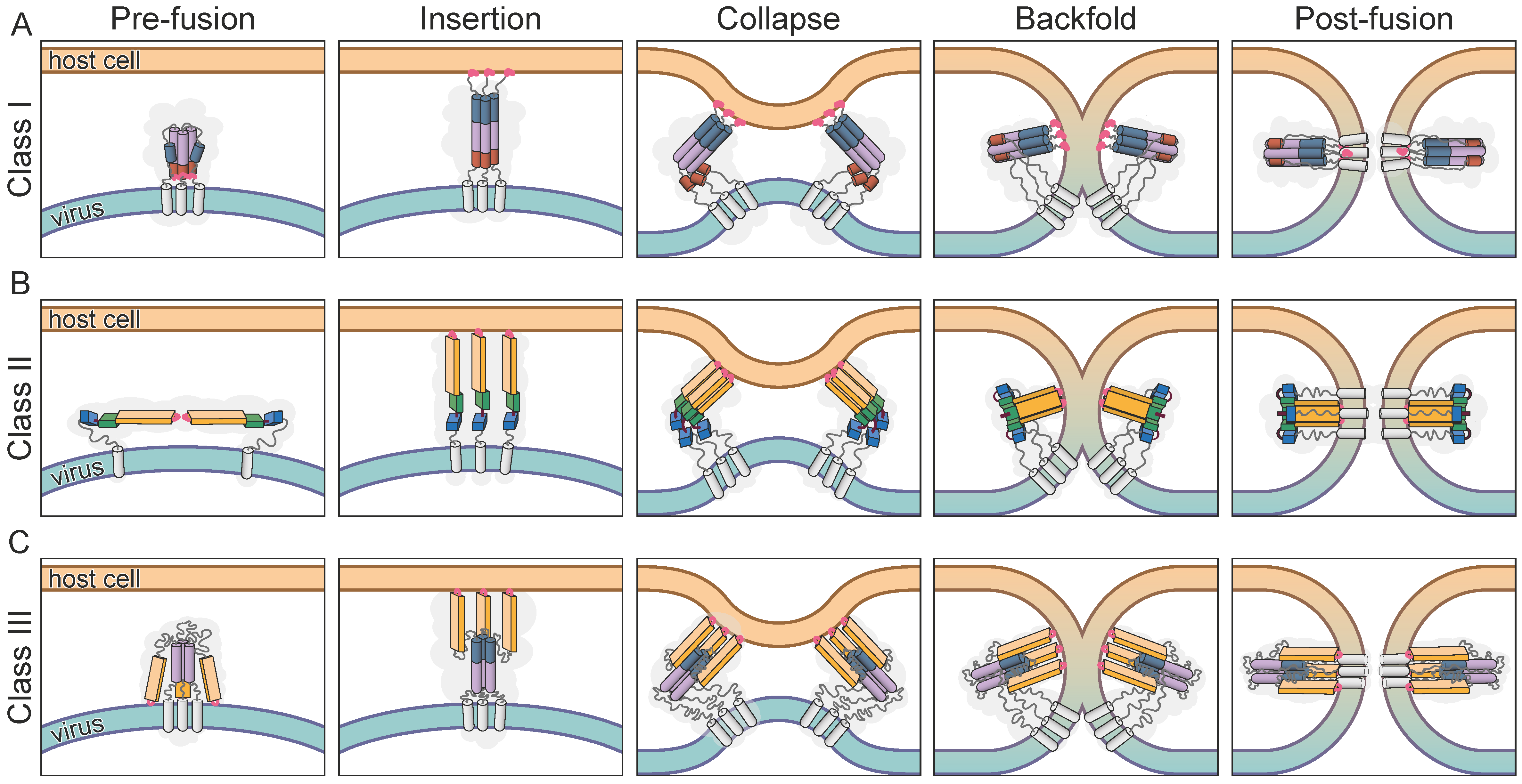 Stabilisation of Viral Membrane Fusion Proteins in Prefusion ...