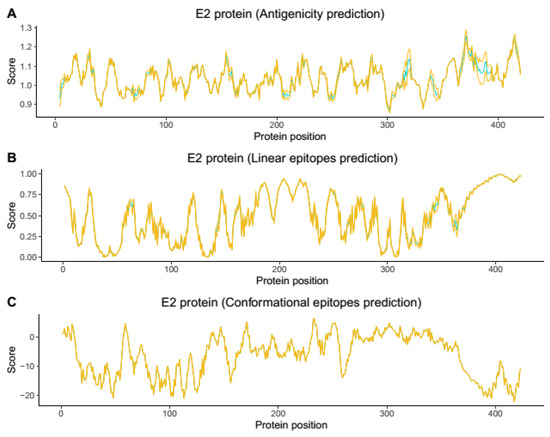 Viruses | Free Full-Text | Chikungunya Virus E2 Structural Protein B ...
