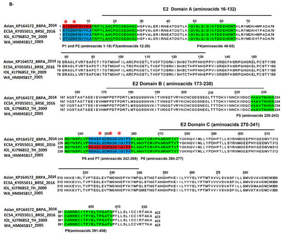 Chikungunya Virus E2 Structural Protein B-Cell Epitopes Analysis