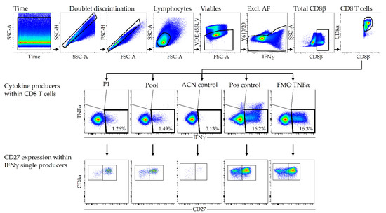 Identification of MHC-I-Presented Porcine Respiratory and Reproductive ...