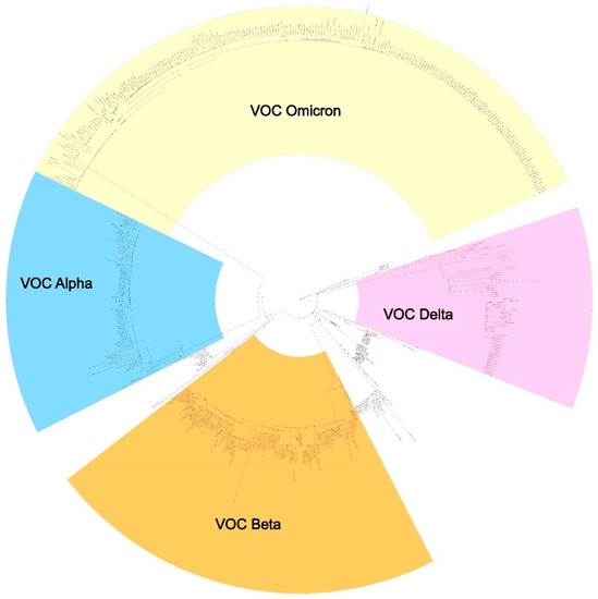 SARS-CoV-2 Infections in Vaccinated and Unvaccinated Populations in ...