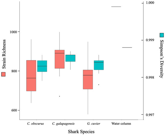 Phage Diving: An Exploration of the Carcharhinid Shark Epidermal Virome