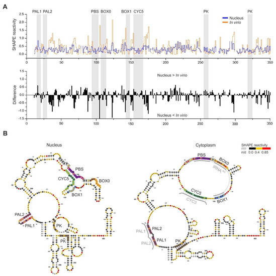 Viruses | Free Full-Text | Cell Compartment-Specific Folding of Ty1 ...