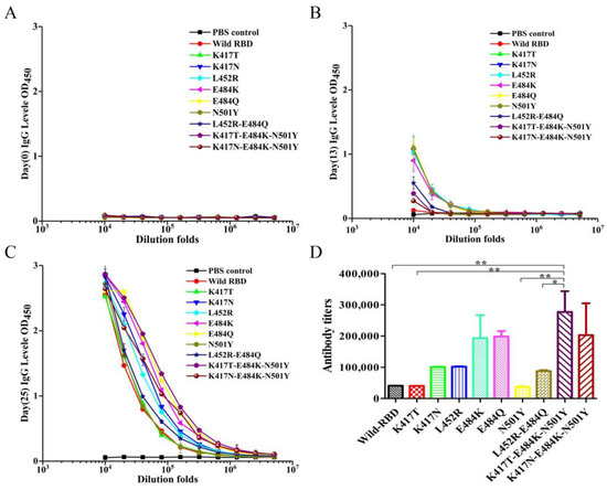 Viruses | Free Full-Text | Enhancing the Immunogenicity of RBD Protein ...