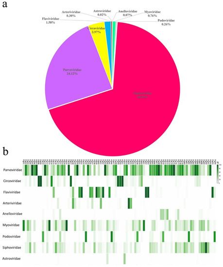 Viral Metagenomics Reveals Diverse Viruses in Tissue Samples of ...