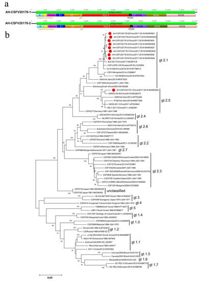 Viral Metagenomics Reveals Diverse Viruses in Tissue Samples of ...