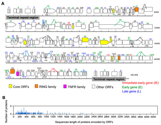 Viruses | Free Full-Text | Complete Genome and Molecular Characterization of a New Cyprinid ...